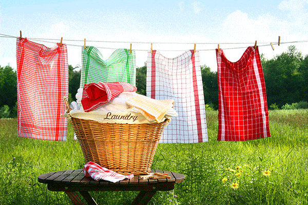 Retractable Washing Lines - A Buyer’s Guide – Cleverhab.co.uk